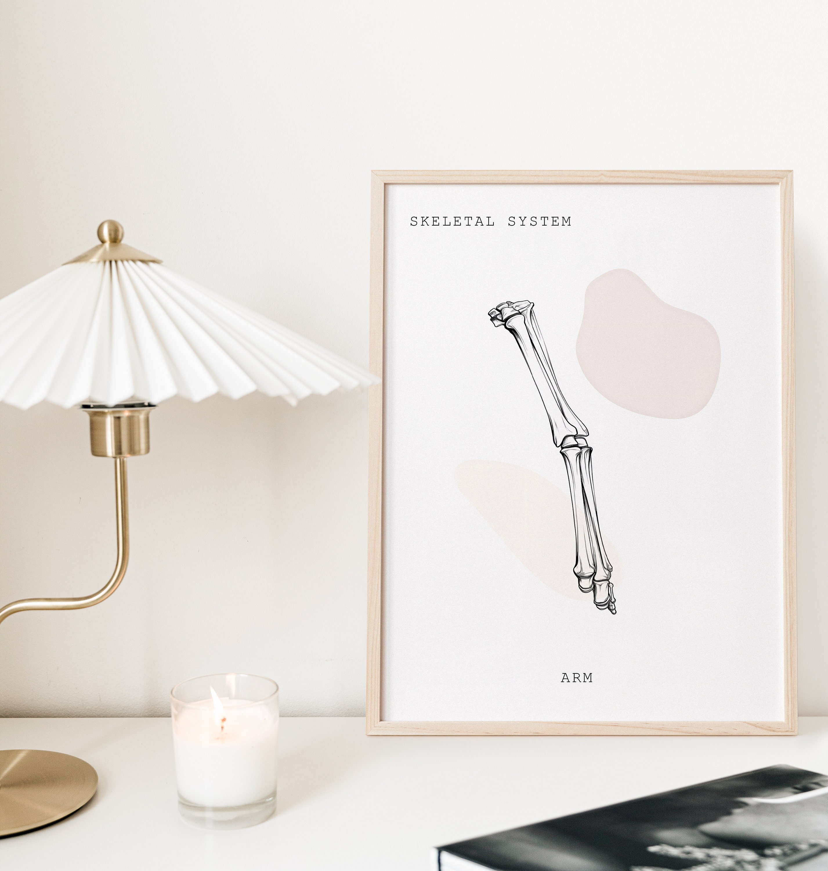 Arm Anatomy, Anatomy Printable, Anatomy Line Art, Medical Art, Clinic ...