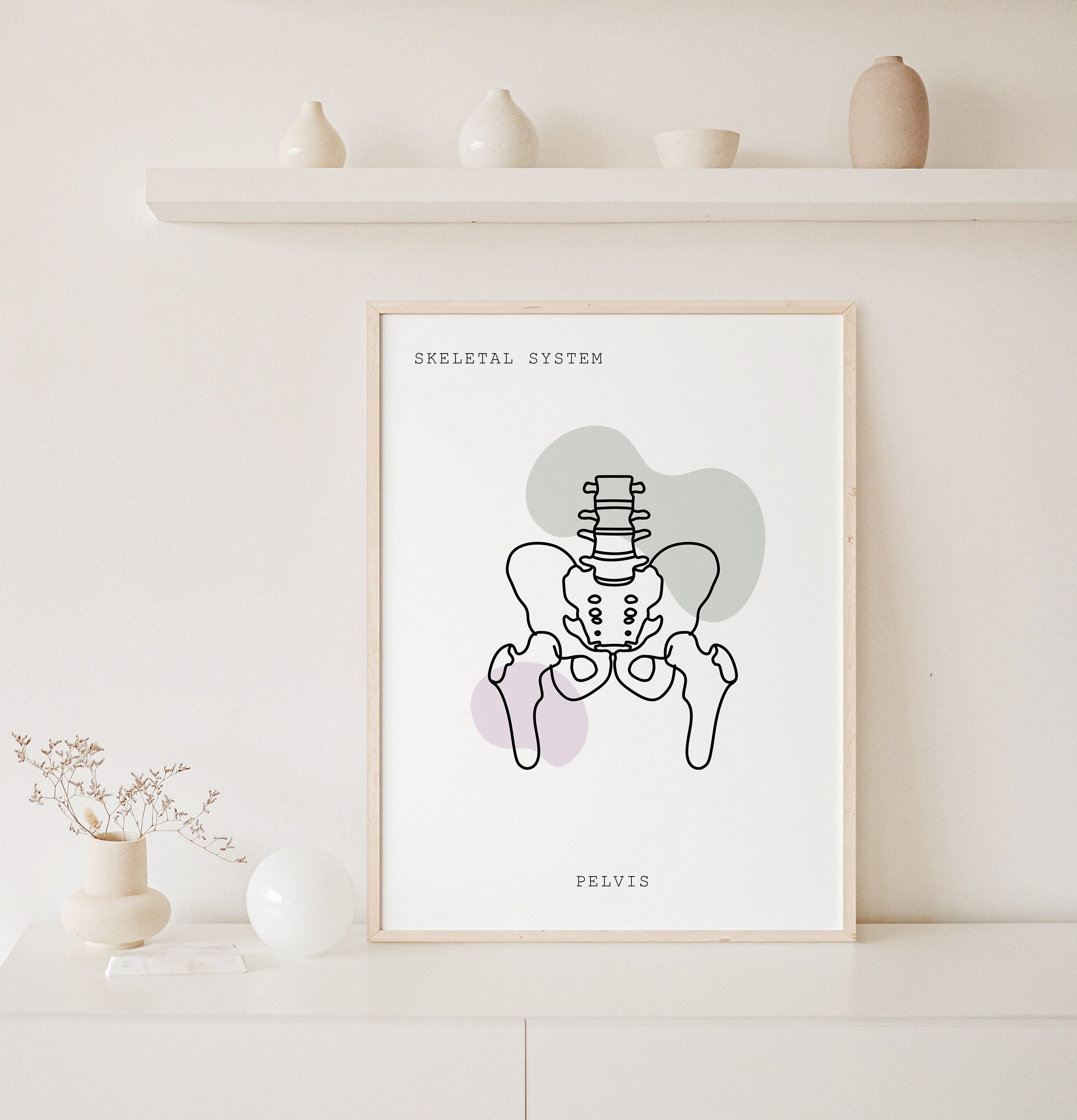 Pelvis Anatomy, Anatomy, Anatomy Printable, Anatomy Line Art, Medical ...