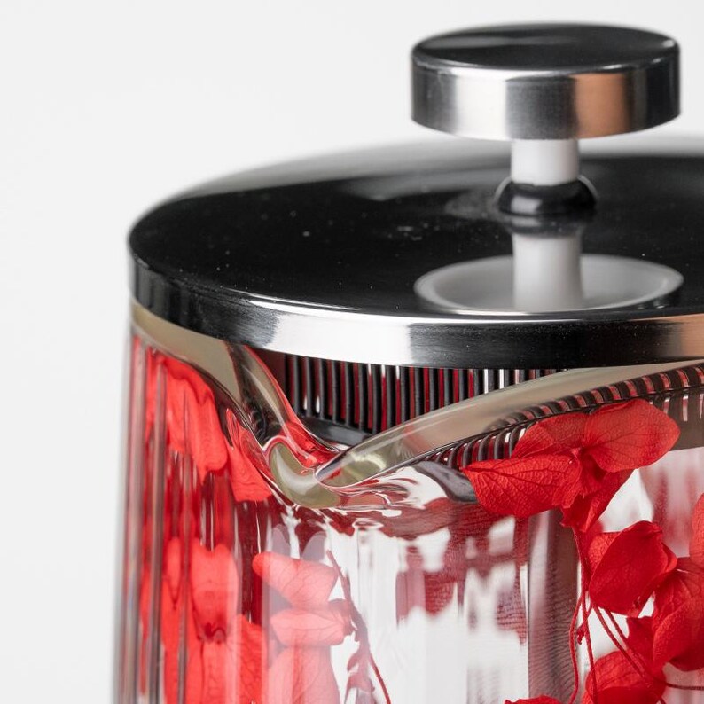 French Press Coffee Maker – 22 Oz - RED Floral Glass Design, Double ...