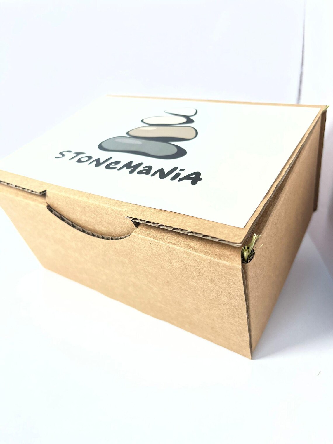 Sea Pebbles, Sea Stones, Drawing on Stones, Developing for Children ...