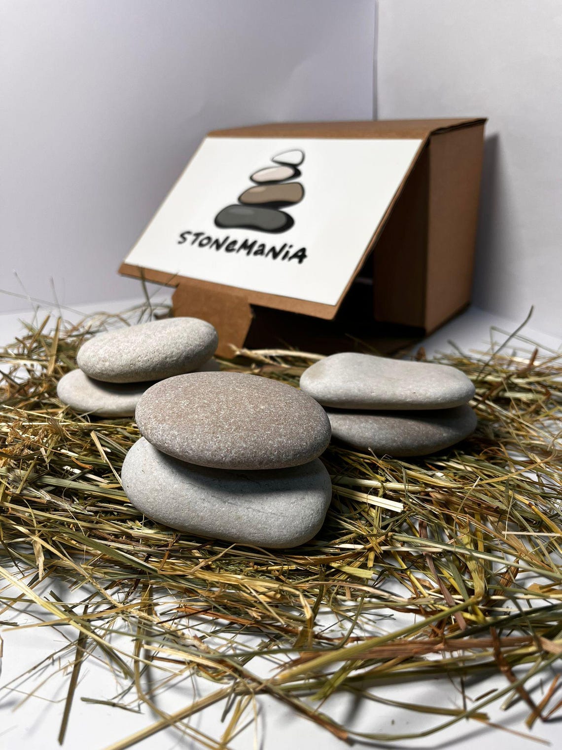 Sea Pebbles, Sea Stones, Drawing on Stones, Developing for Children ...