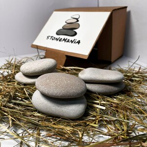 Sea Pebbles, Sea Stones, Drawing on Stones, Developing for Children ...