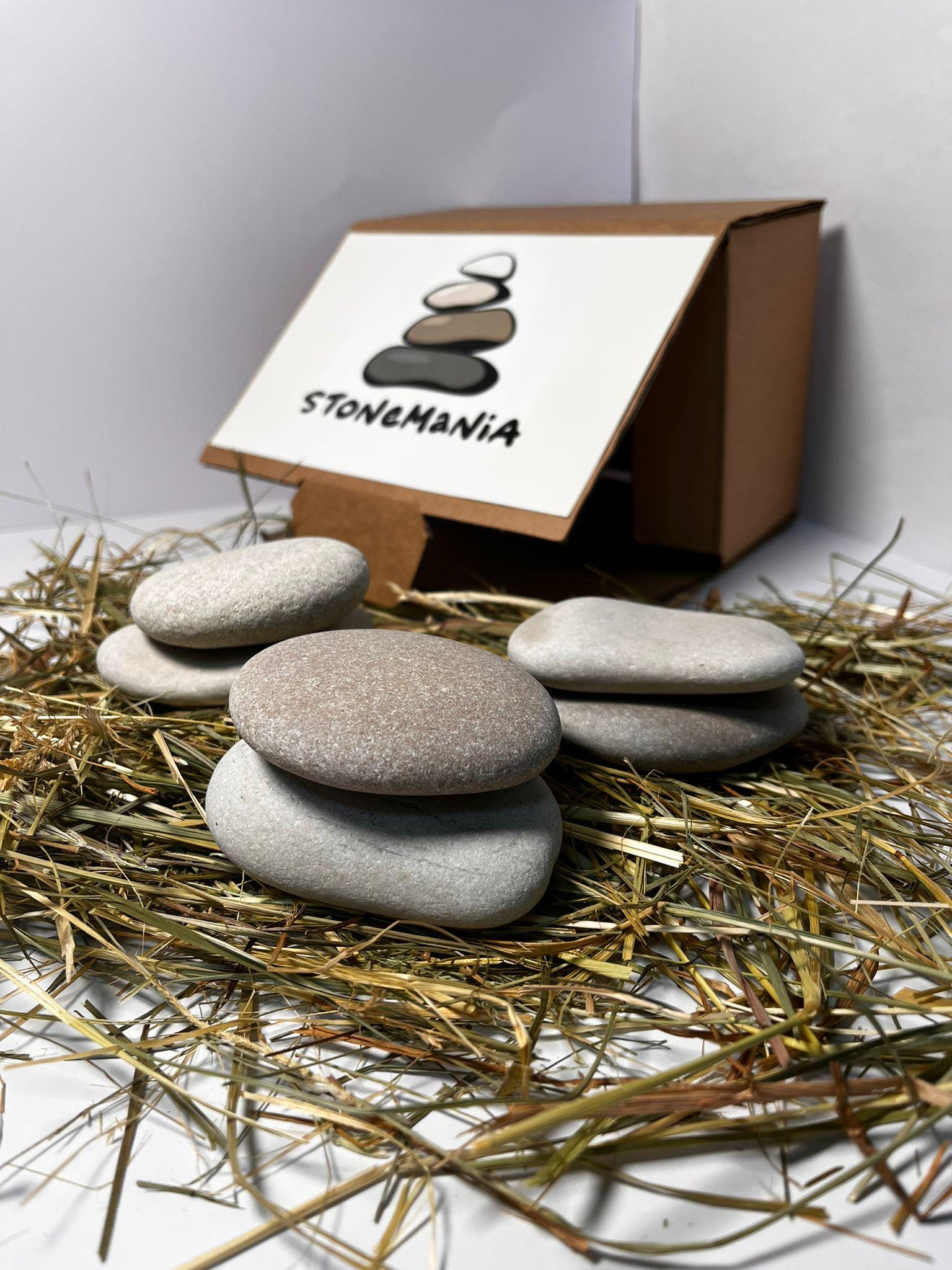 Sea Pebbles, Sea Stones, Drawing on Stones, Developing for Children ...