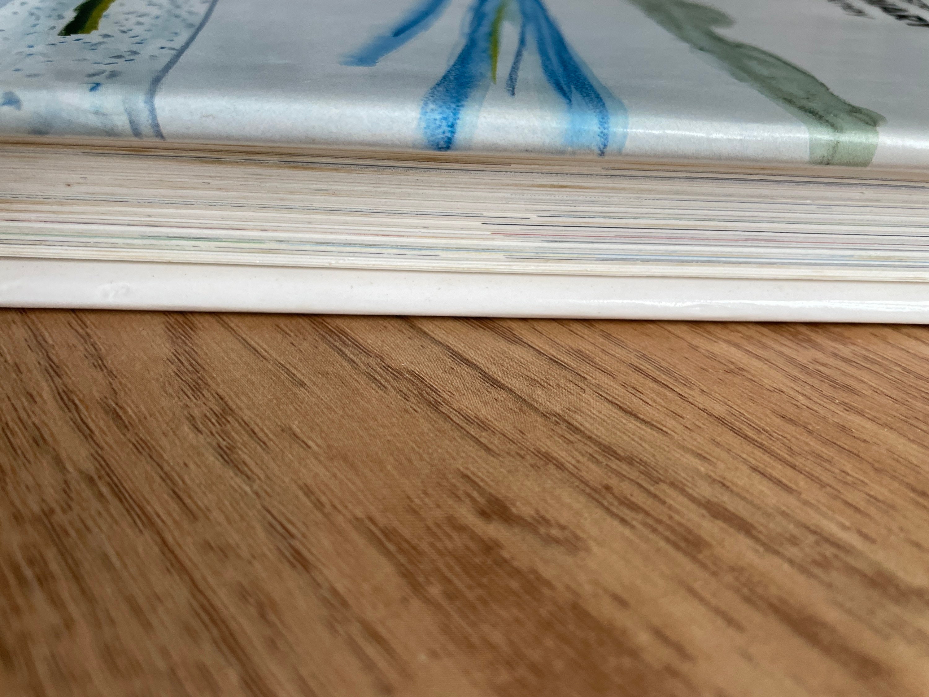 China Diary by David Hockney and Stephen Spender Published by Thames ...