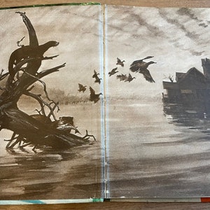 Walt Disneys the Odyssey of an Otter by Rutherford Montgomery Published ...