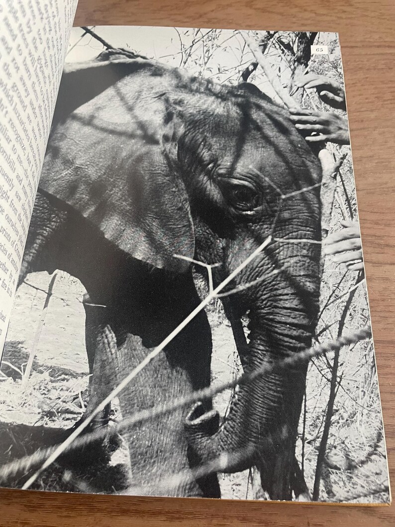 Operation Noah by Charles Lagus Second Edition 1959 - Etsy