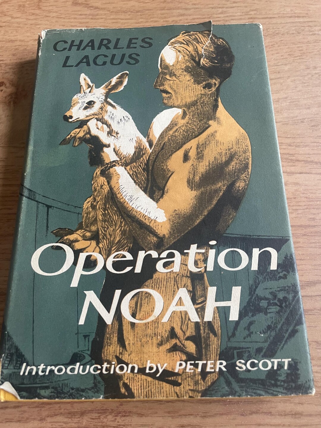 Operation Noah by Charles Lagus Second Edition 1959 - Etsy
