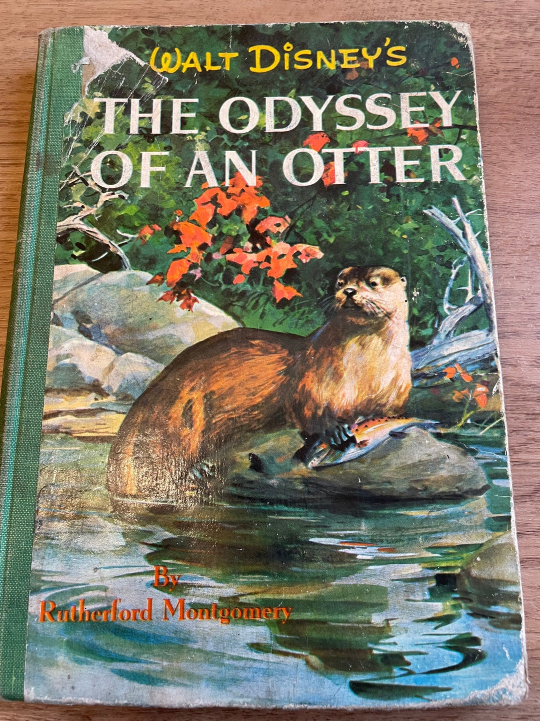 Walt Disneys the Odyssey of an Otter by Rutherford Montgomery Published ...