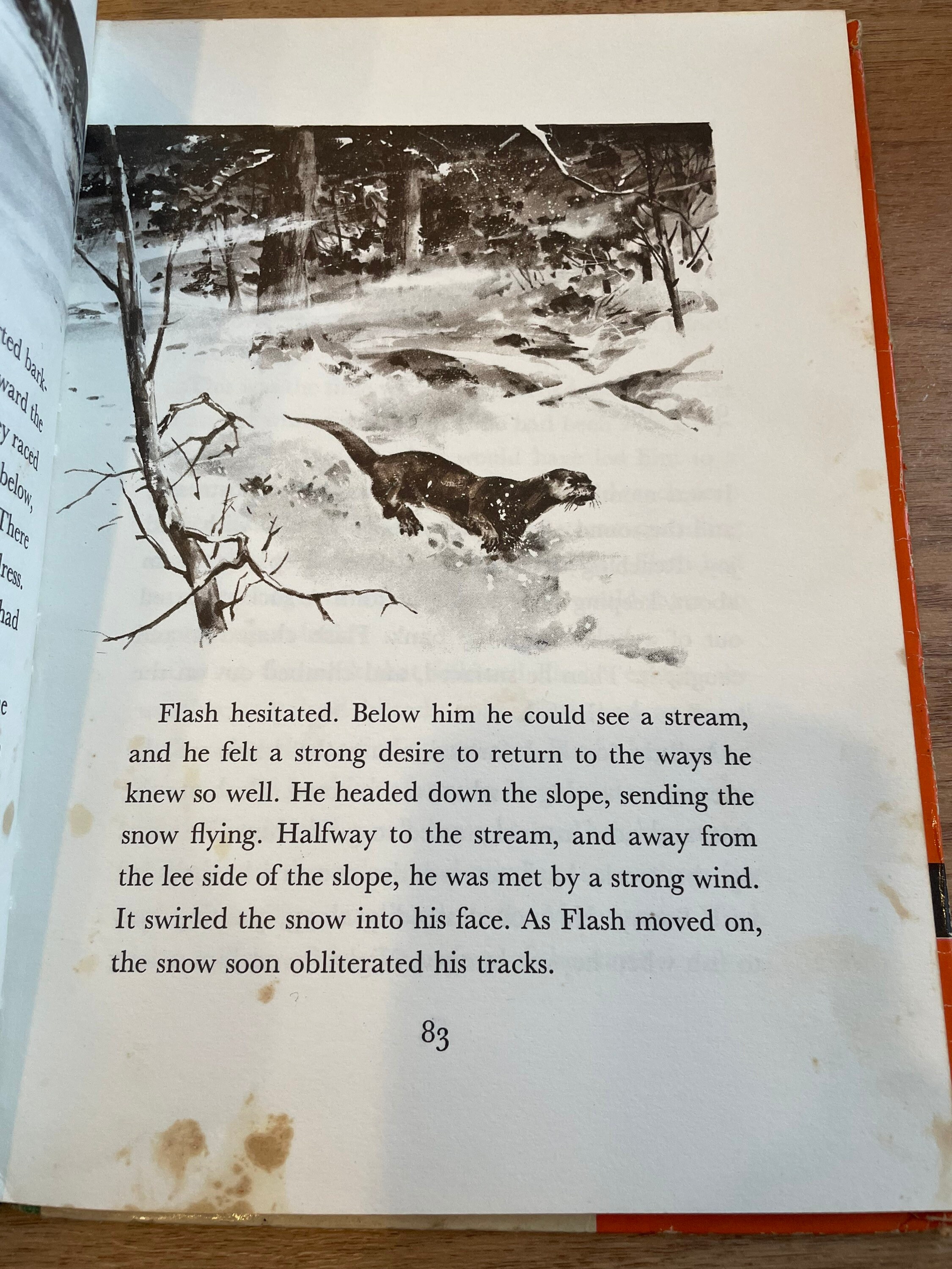 Walt Disneys the Odyssey of an Otter by Rutherford Montgomery - Etsy