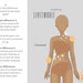 Vtuber Model Pack 3d-looking Body Base .PSD Separated Layers Vtuber ...
