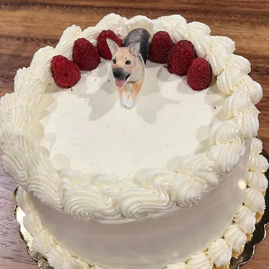 Custom Personalized Pet Wedding Cake Toppers, Pet Birthday Cake Toppers ...