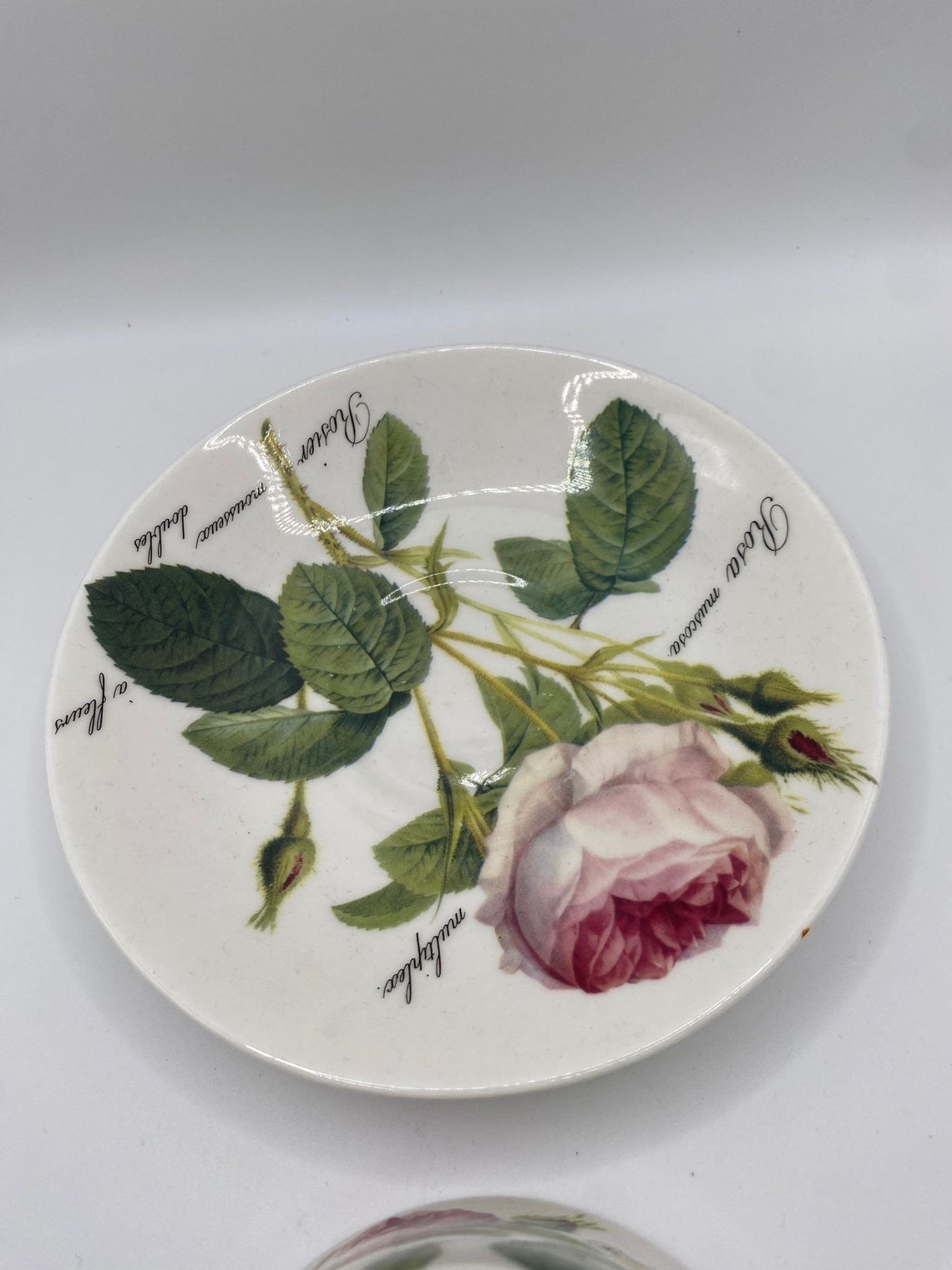 Roy Kirkham Redoute Roses Plate and Mug Bone China England 1996. - Etsy