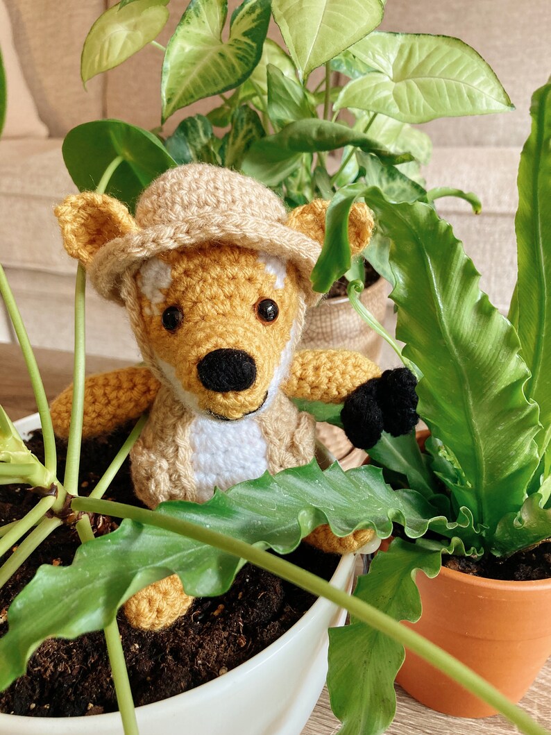 Dixie the Dingo Explorer - Easy Crochet Dog Pattern - Etsy