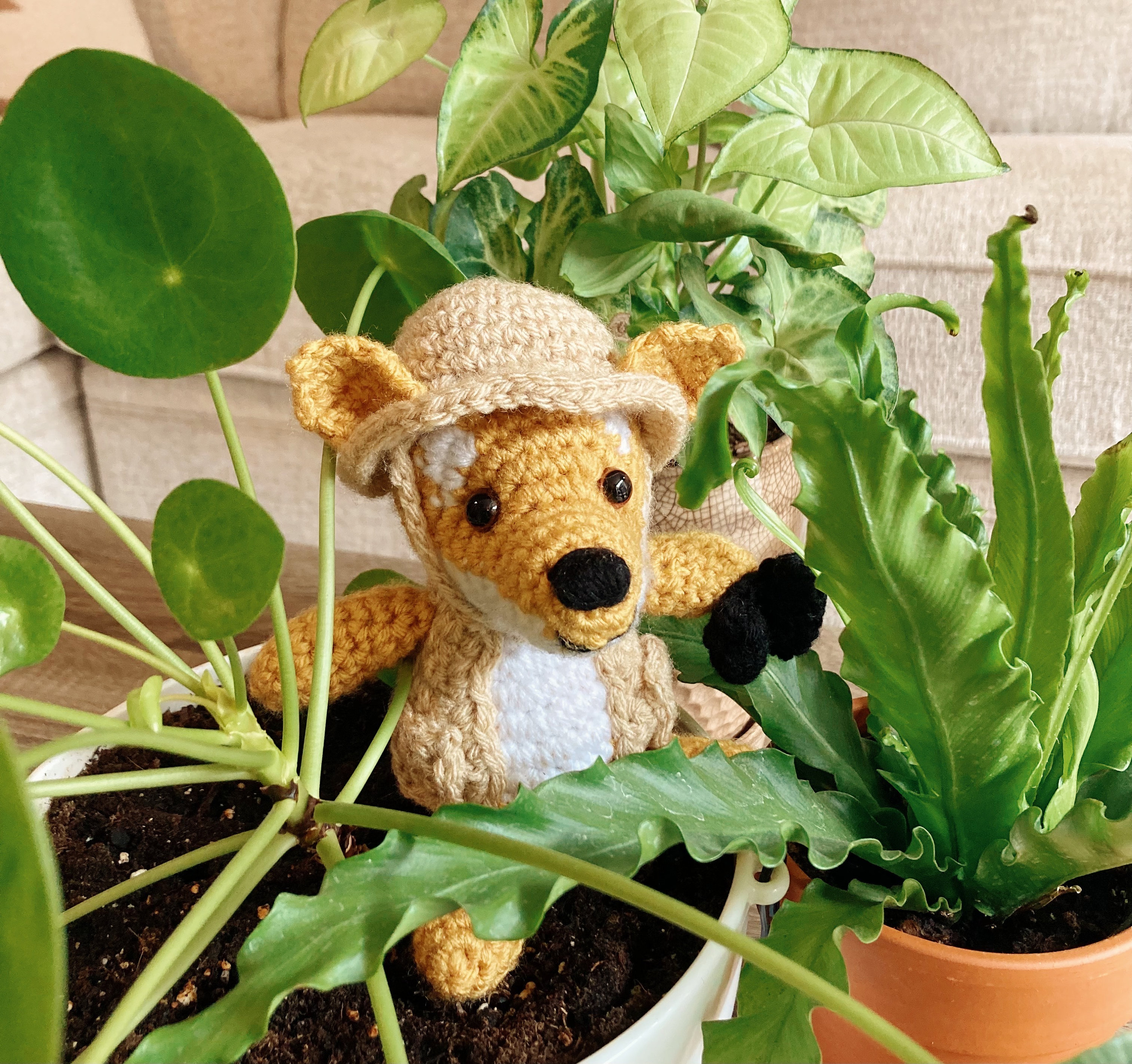 Dixie the Dingo Explorer - Easy Crochet Dog Pattern - Etsy