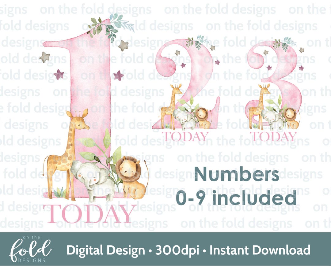 Safari Numbers Clipart Pink Jungle Birthday PNG Download Transparent ...