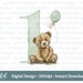 Teddy Bear, Number 1, Balloons, 1st Birthday, Clipart, Sublimation. PNG ...