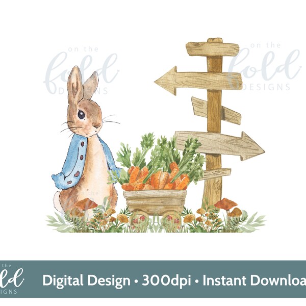 Peter Rabbit - Etsy