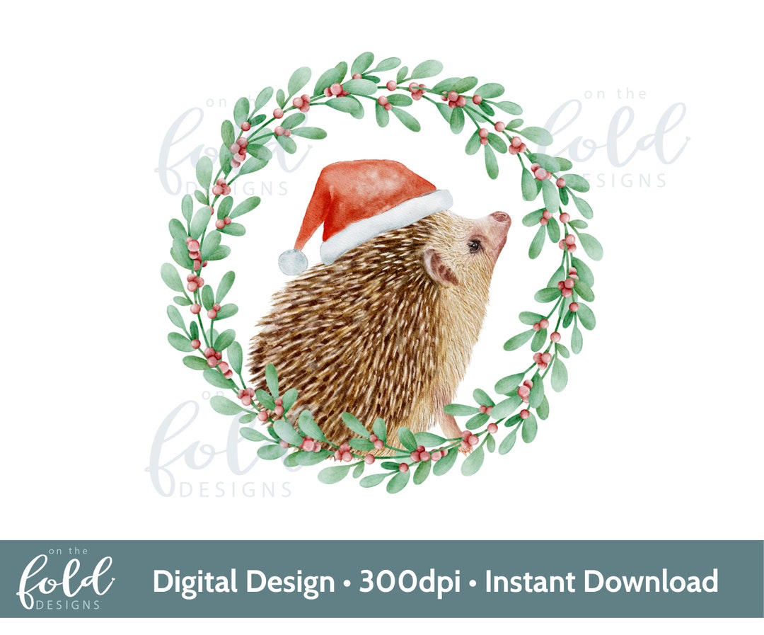 Hedgehog, Santa Hat Christmas Clipart Instant Download File Transparent ...