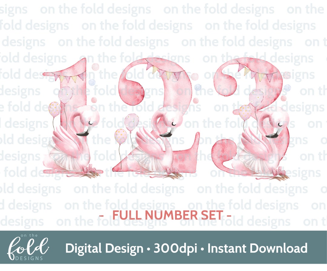 Flamingo, Number Set, Birthday, Clipart, Png, Instant Download ...
