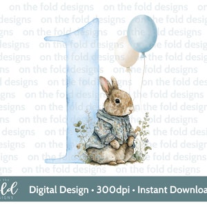 Bunny Rabbit, 1st Birthday, Png Clipart, Transparent Background ...