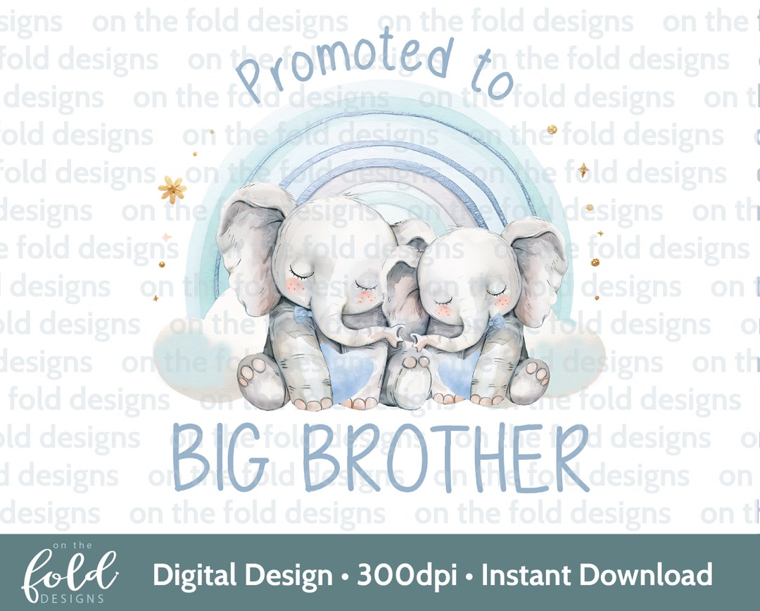 Promoted to Big Brother Elephant Clipart Baby Boy Announcement Tshirt ...