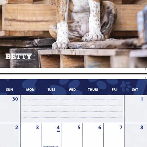 2025 Australian Tradie Calendar Puppy Edition - Etsy