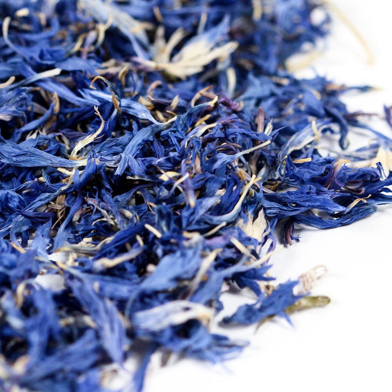 Premium Dried Cornflower Blue Petals - Centaurea Cyanus - Free Postage ...