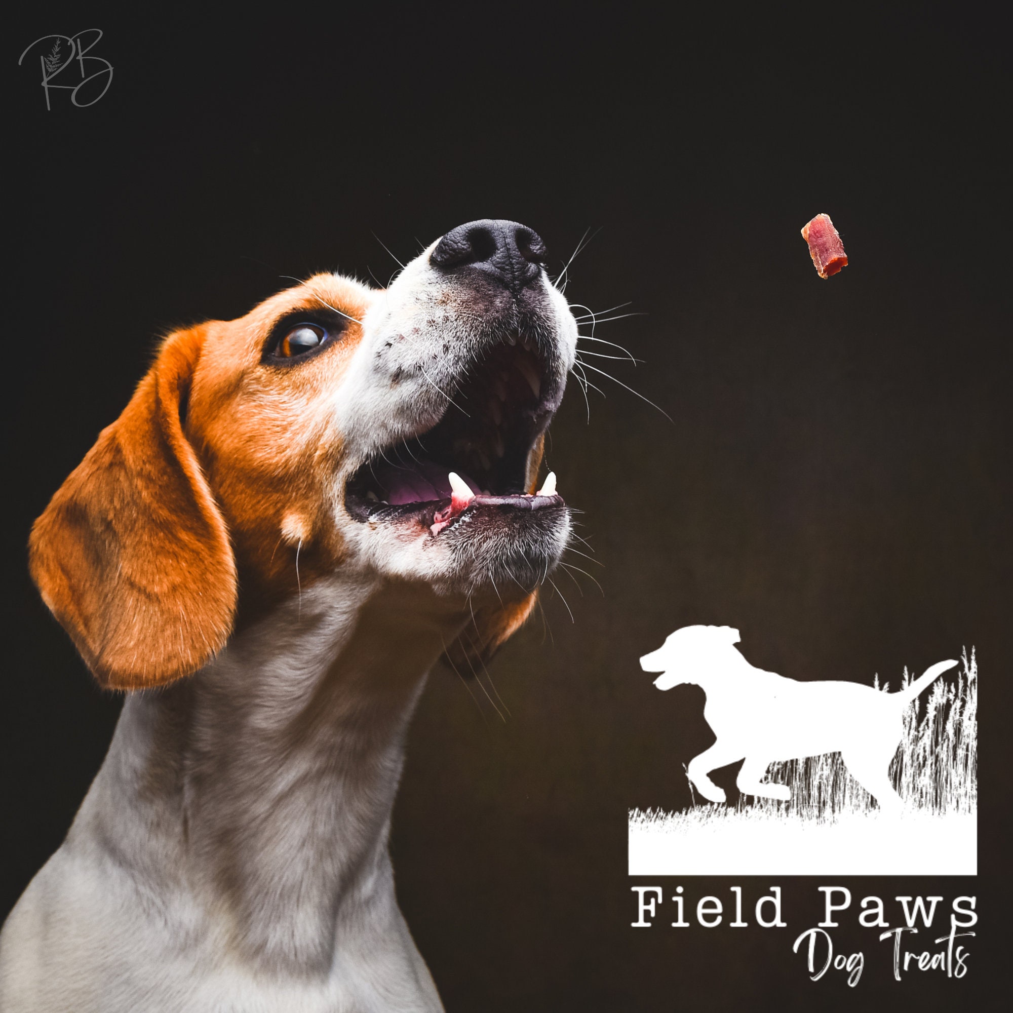 Premade Editable Logo Template I Field Paws I Custom Business Branding ...