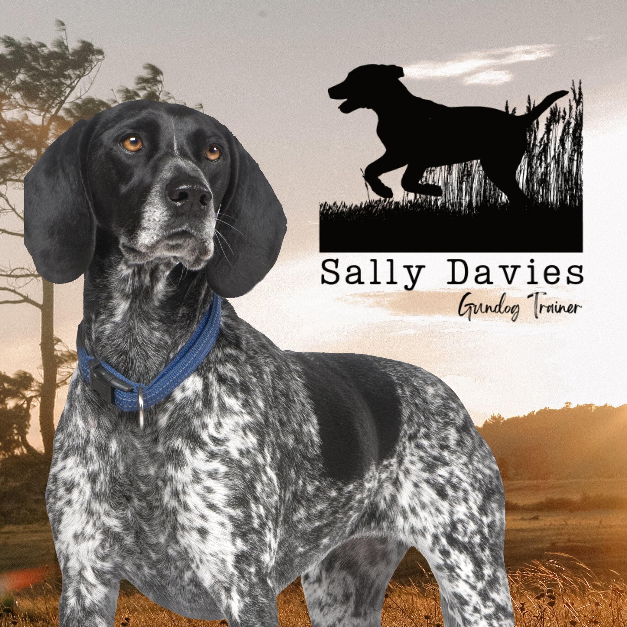 Premade Editable Logo Template I Field Paws I Custom Business Branding ...
