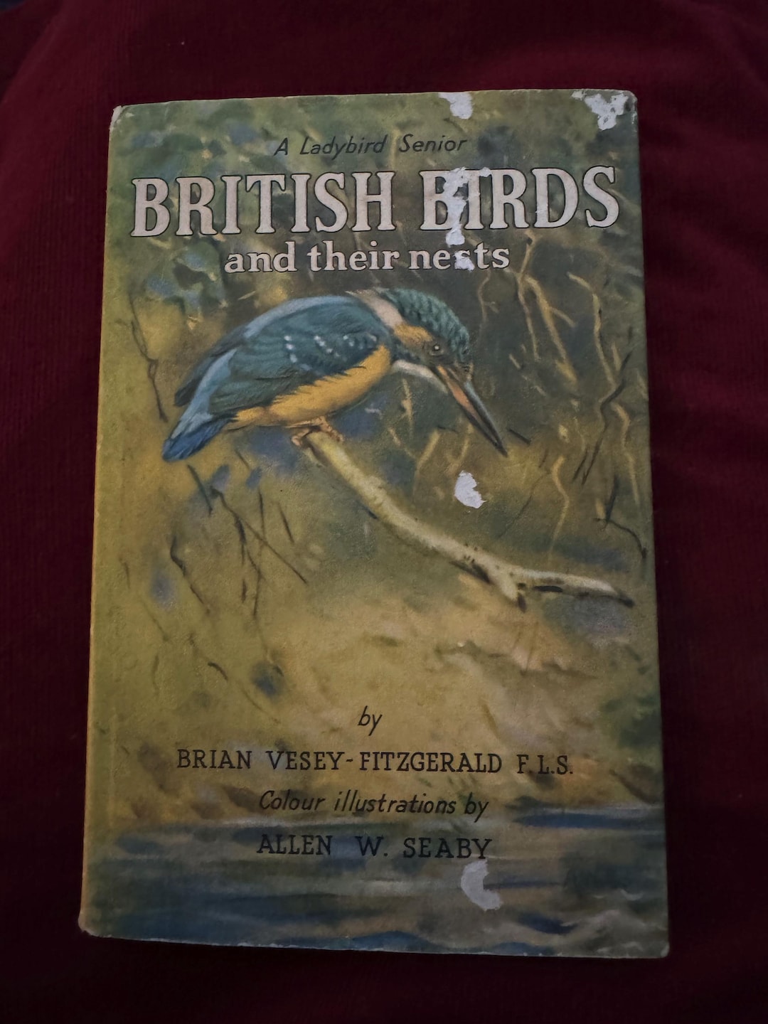 British Birds and Their Nests Brian Vesey-fitzgerald, Allen W. Seaby ...