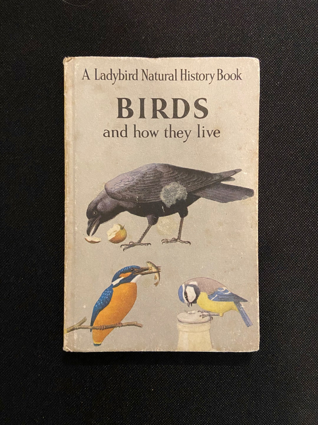 A Ladybird Natural History Book - Birds and How They Live [series 651 ...