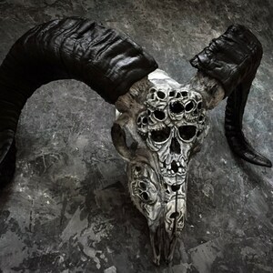 Real Ram Skull With Hand Carving, Real Skull, Wall Decor, Gothic Decor ...