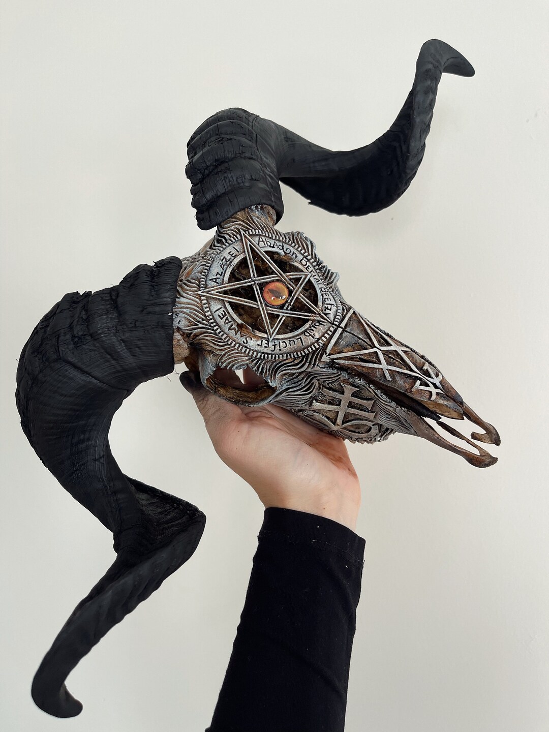 Real Hand-carved Animal Ram Skull, Wall Decor, Display Decor, Taxidermy ...