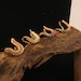 Indian Vanki Ring , Finger Ring , Mangalyam Rings , South Indian ...