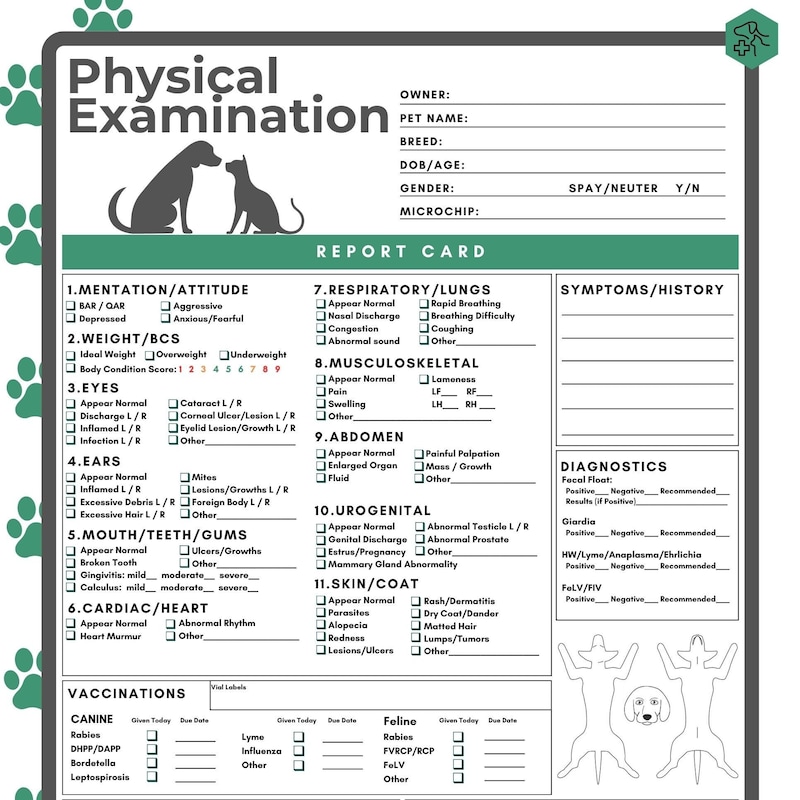 Pet Clinic Forms - Etsy