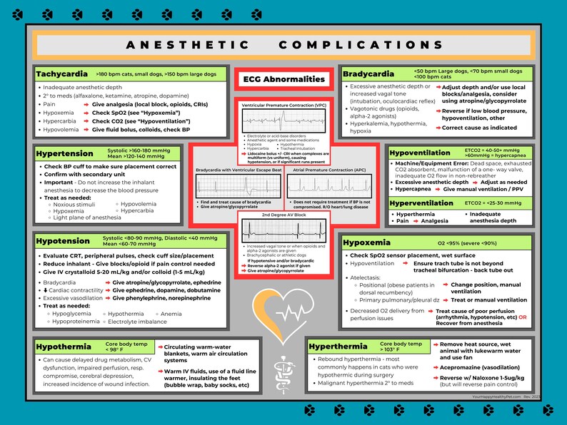 NEW COLOR! | Anesthesia Complications Poster for the Veterinary ...