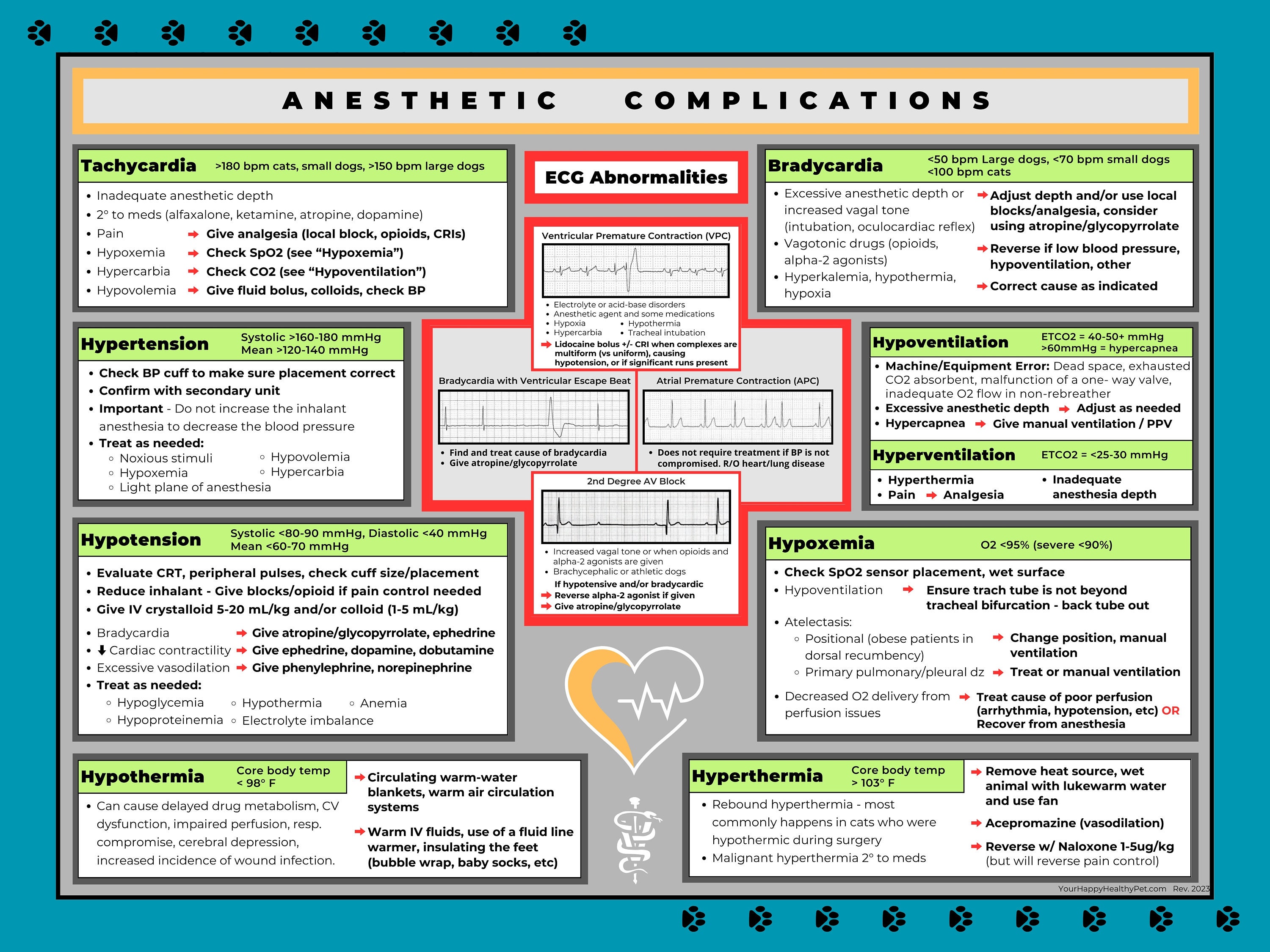 NEW COLOR! | Anesthesia Complications Poster for the Veterinary ...