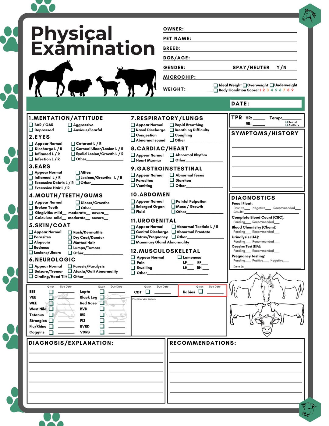 New! Large Animal Physical Exam Form | Production Veterinary Blank ...