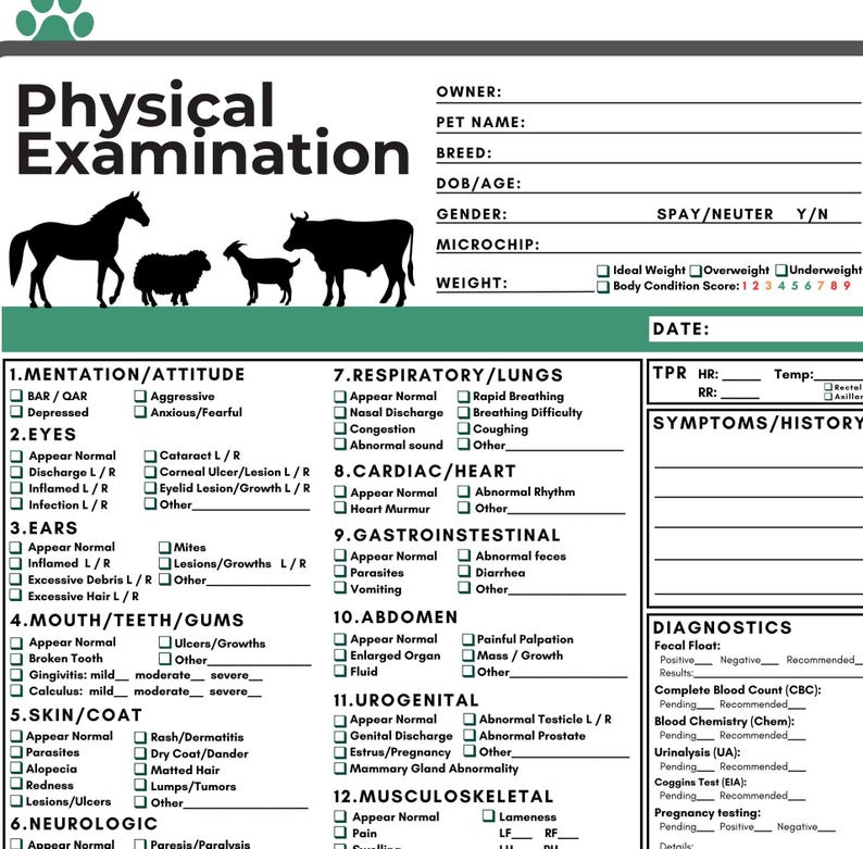 New! Large Animal Physical Exam Form | Production Veterinary Blank ...