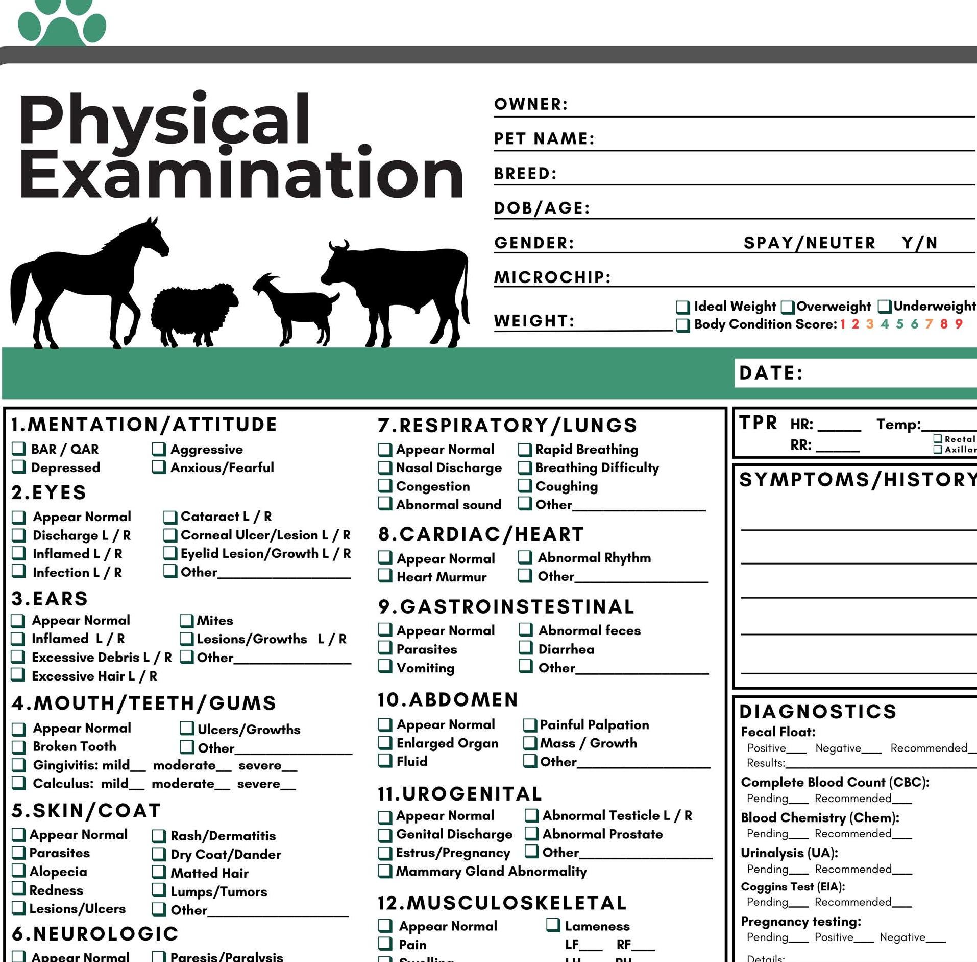 New! Large Animal Physical Exam Form | Production Veterinary Blank ...