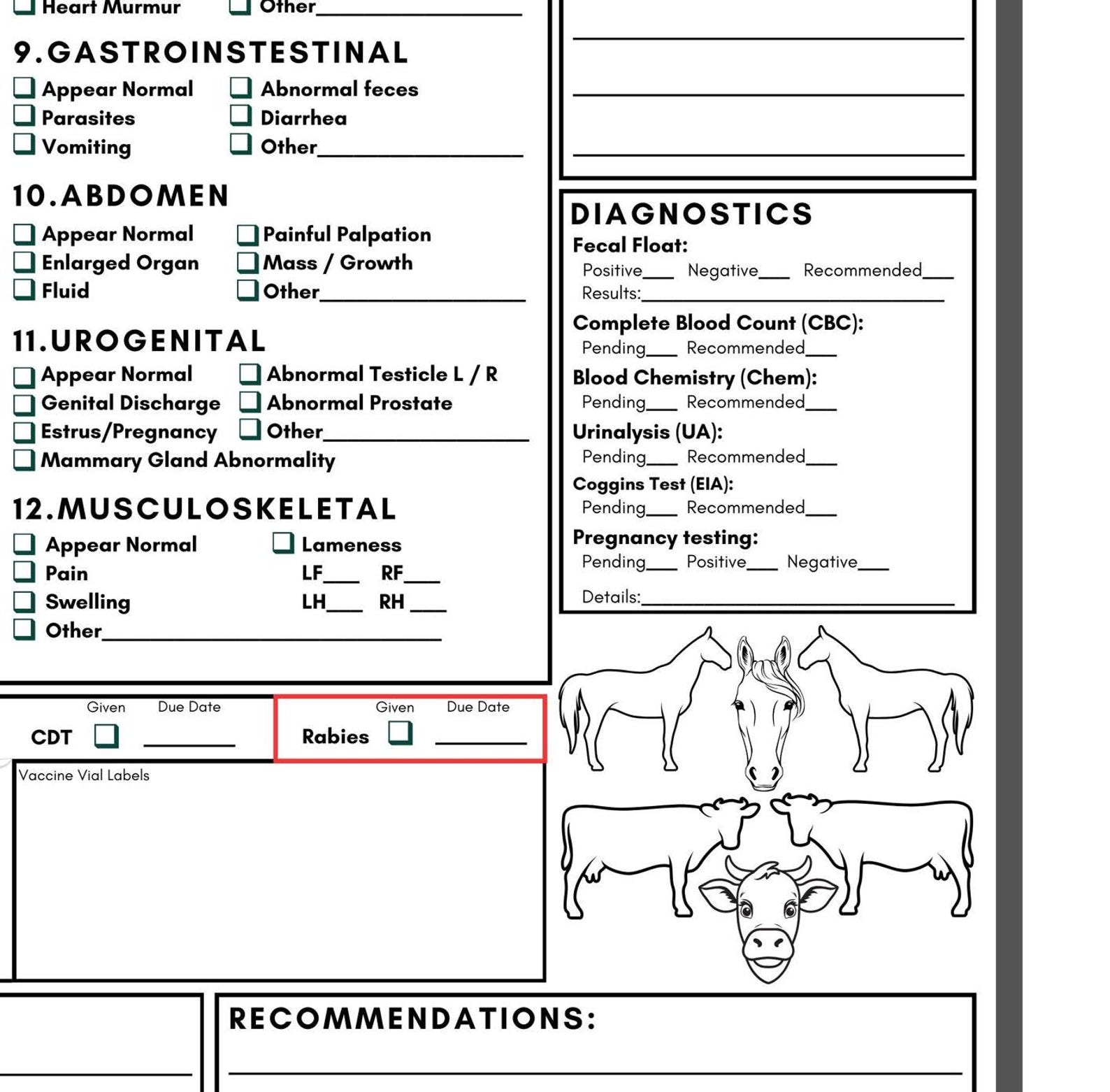New! Large Animal Physical Exam Form | Production Veterinary Blank ...