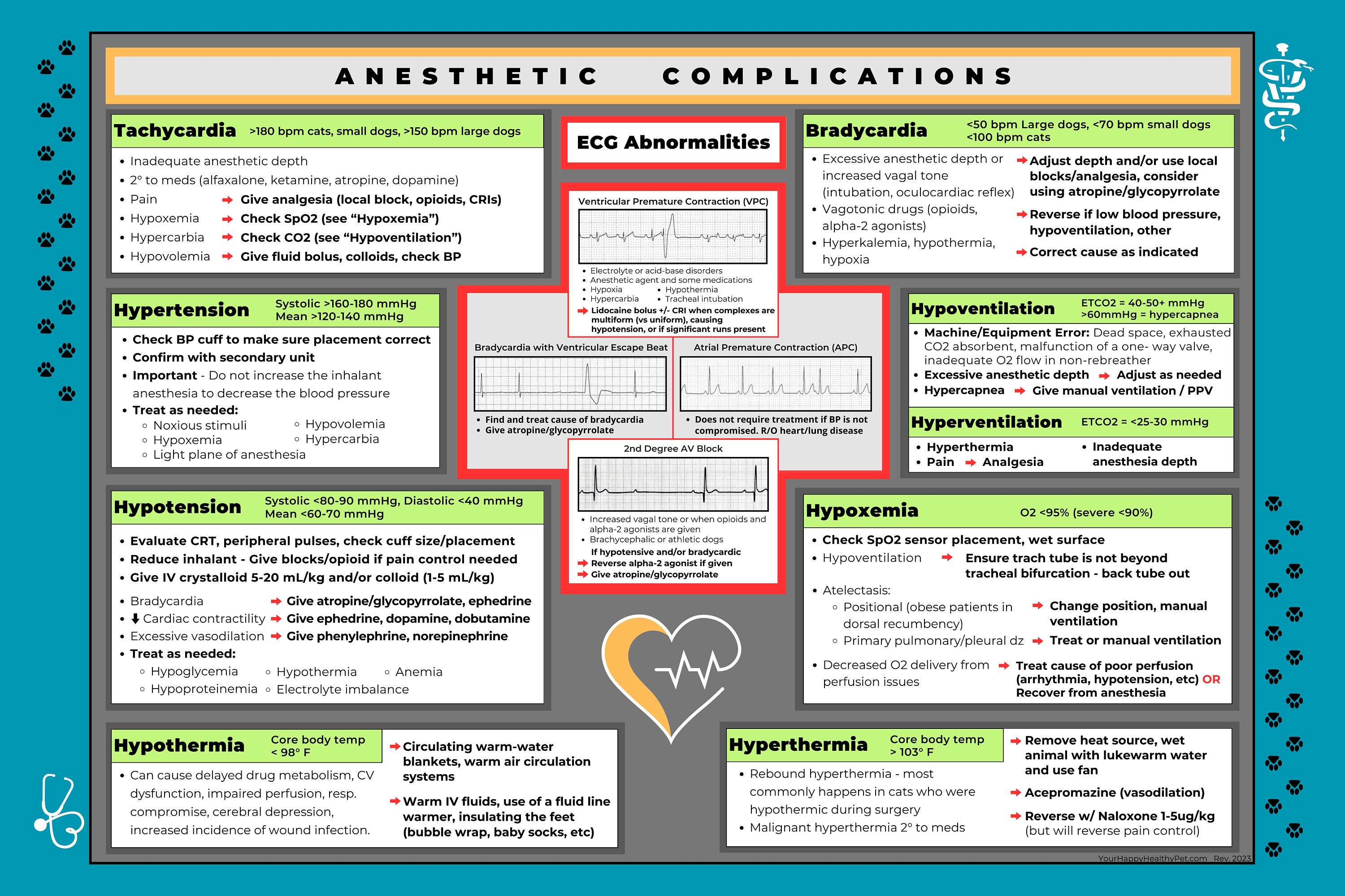 NEW COLOR! | Anesthesia Complications Poster for the Veterinary ...