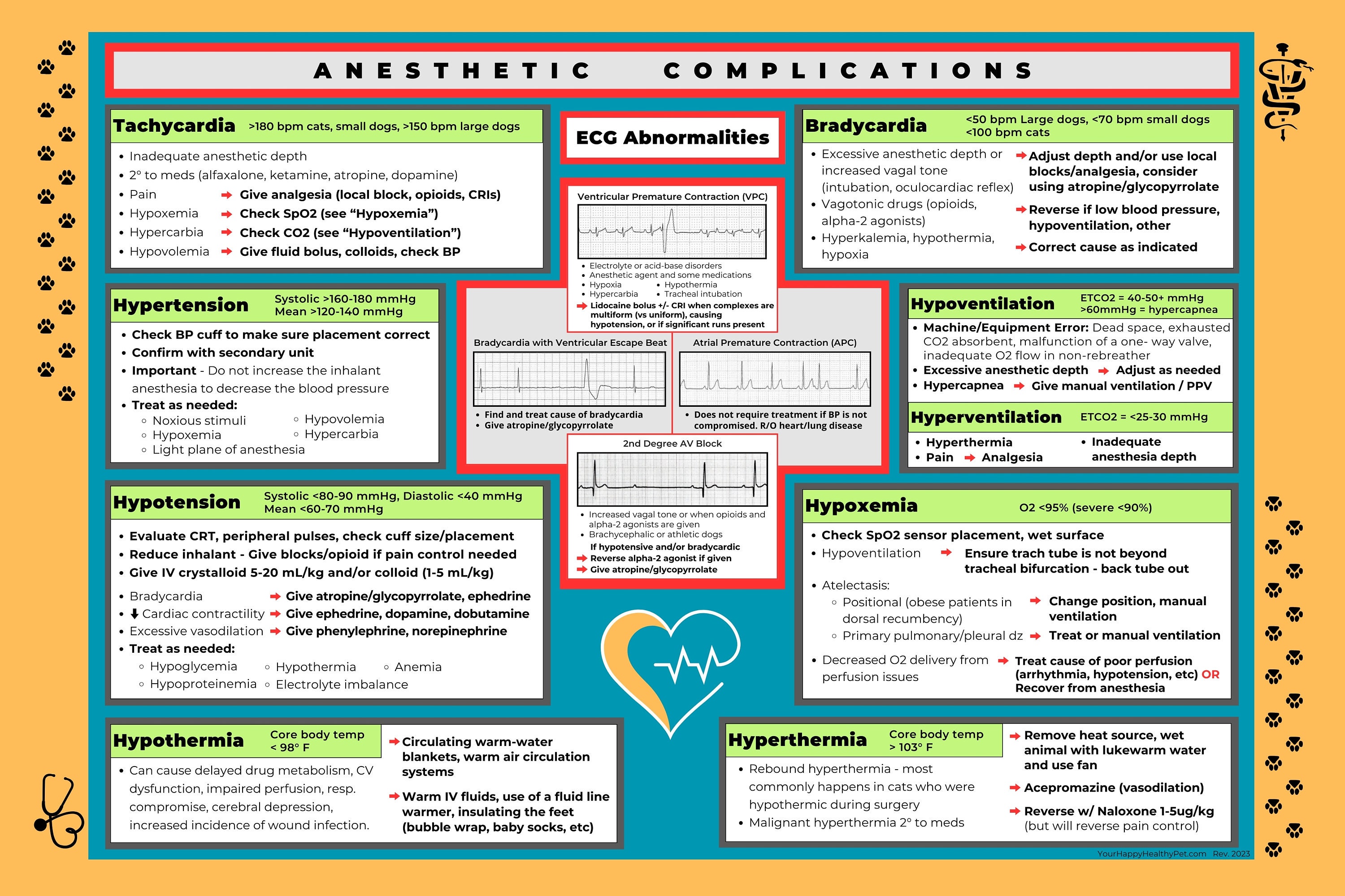 NEW SIZE! | Anesthesia Complications Poster for the Veterinary Hospital ...