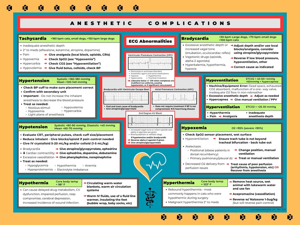 NEW SIZE! | Anesthesia Complications Poster for the Veterinary Hospital ...