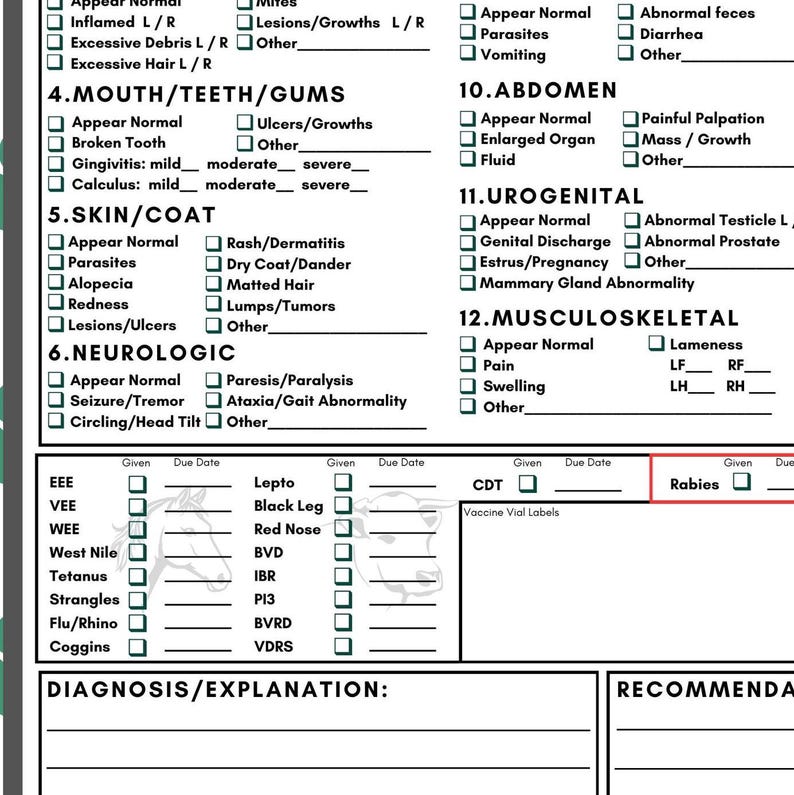 New! Large Animal Physical Exam Form | Production Veterinary Blank ...