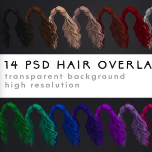 Digital Hair Overlays - Curly Painted Hairstyle on a Transparent ...