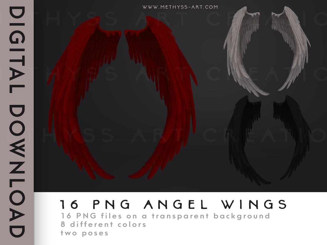 Digital Angel Wings Overlays on a Transparent Background, PNG Format - Etsy