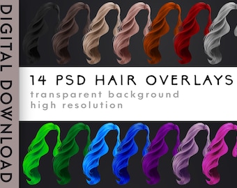 Digital Hair Overlays Wavy Painted PNG Hair Set on a Transparent Background, Digital Wigs - Etsy