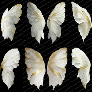 Gilded Fairy Wing Overlays, Angel Wing Overlays, Photoshop Overlays ...