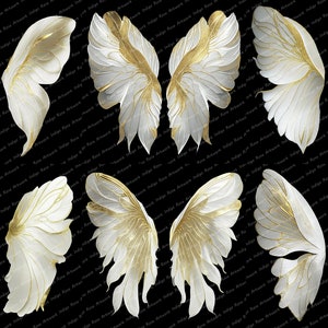 Gilded Fairy Wing Overlays, Angel Wing Overlays, Photoshop Overlays ...